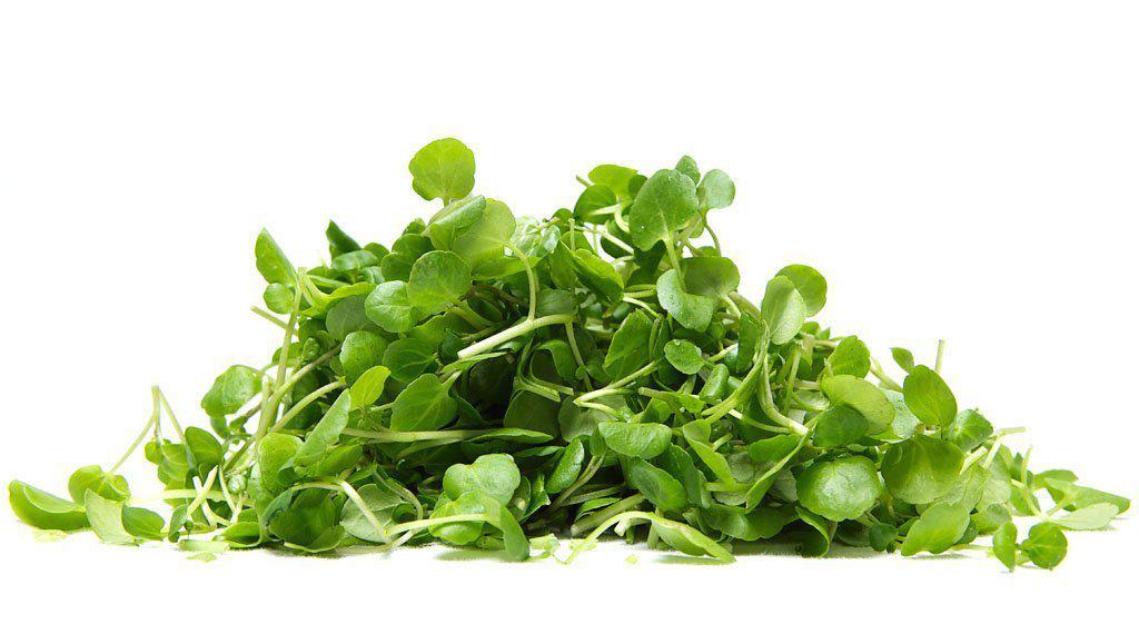 Watercress – Auk