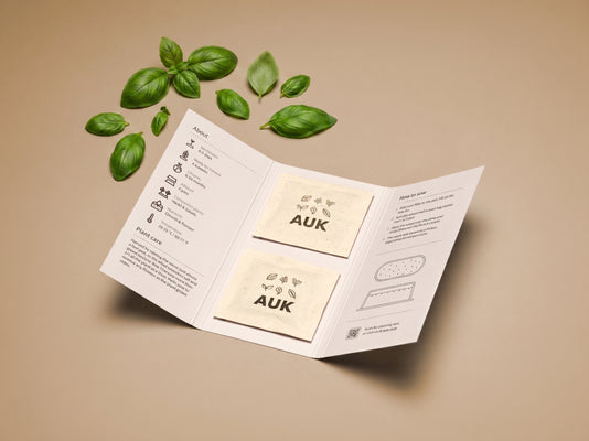 Auk Mini 2