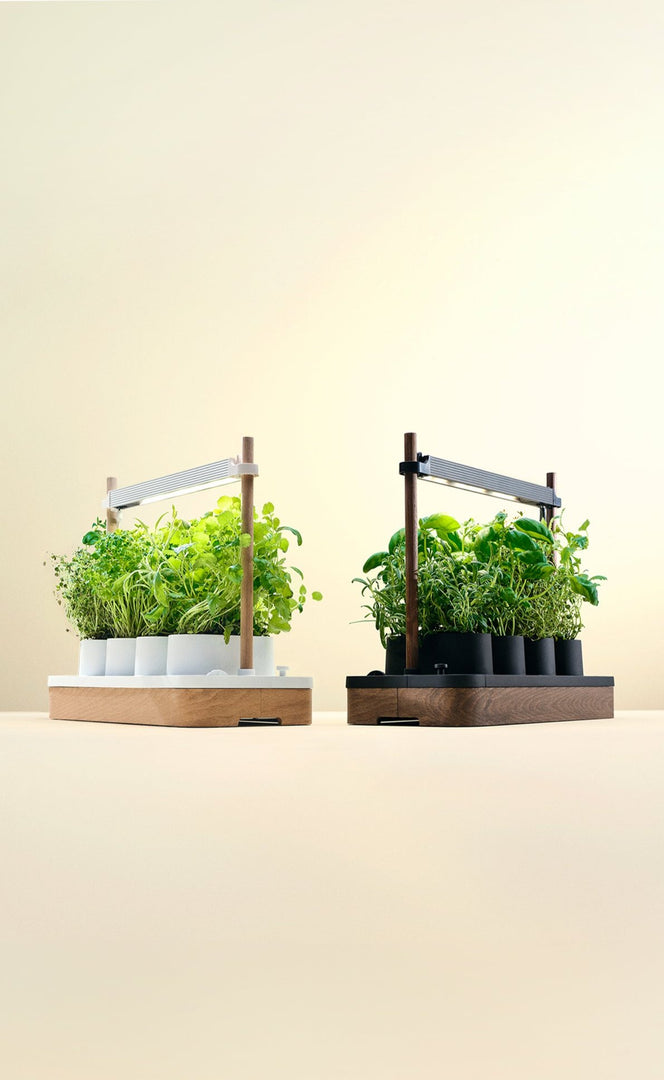 Auk | Award-winning indoor smart gardens from Scandinavia